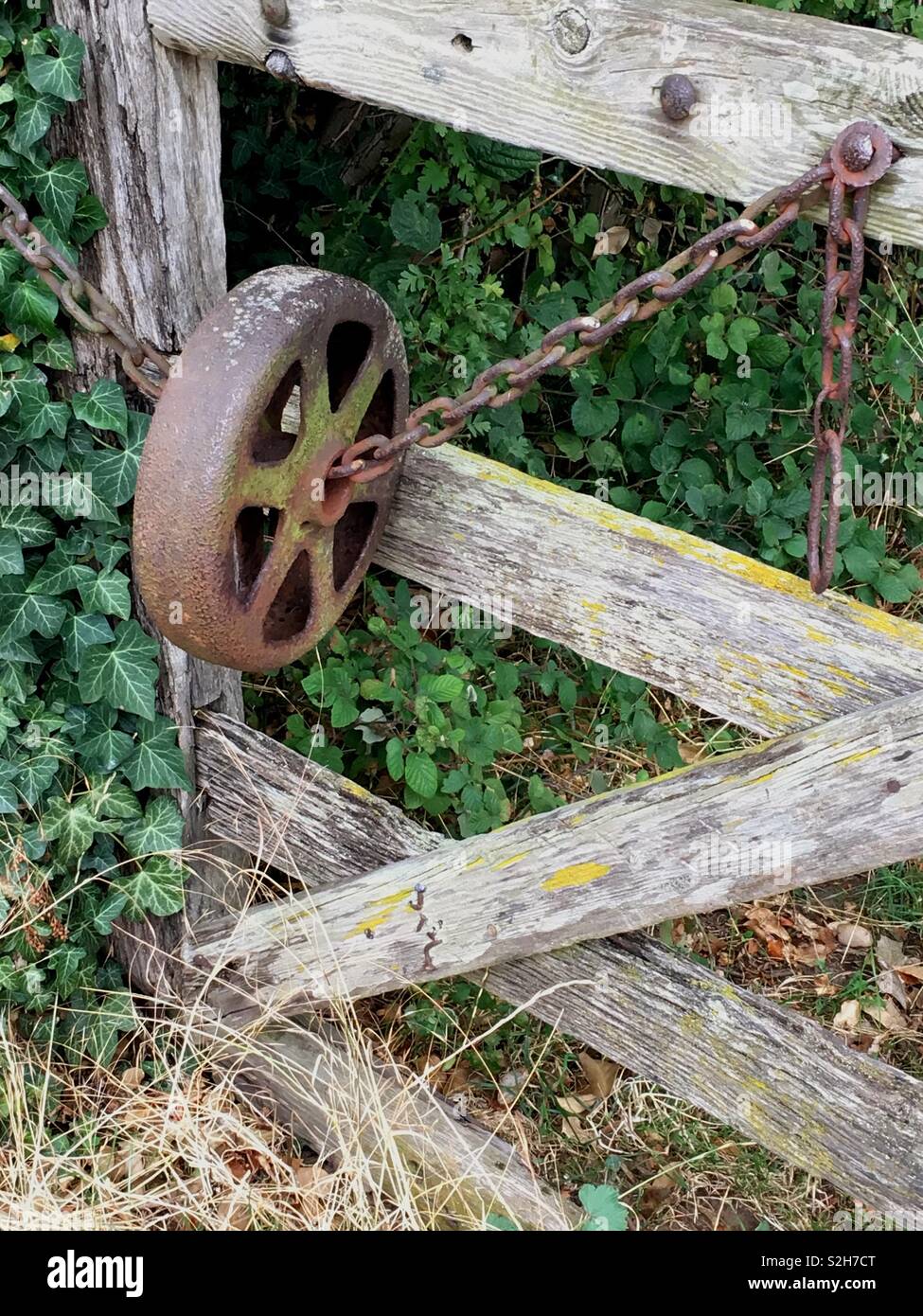 Old metal farm gate hi-res stock photography and images - Alamy
