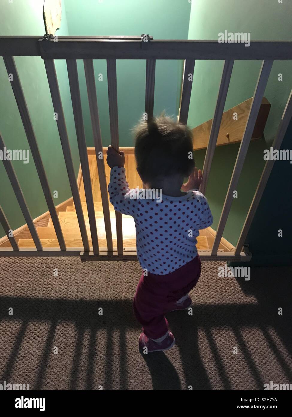 Toddler behind a gate hi-res stock photography and images - Alamy