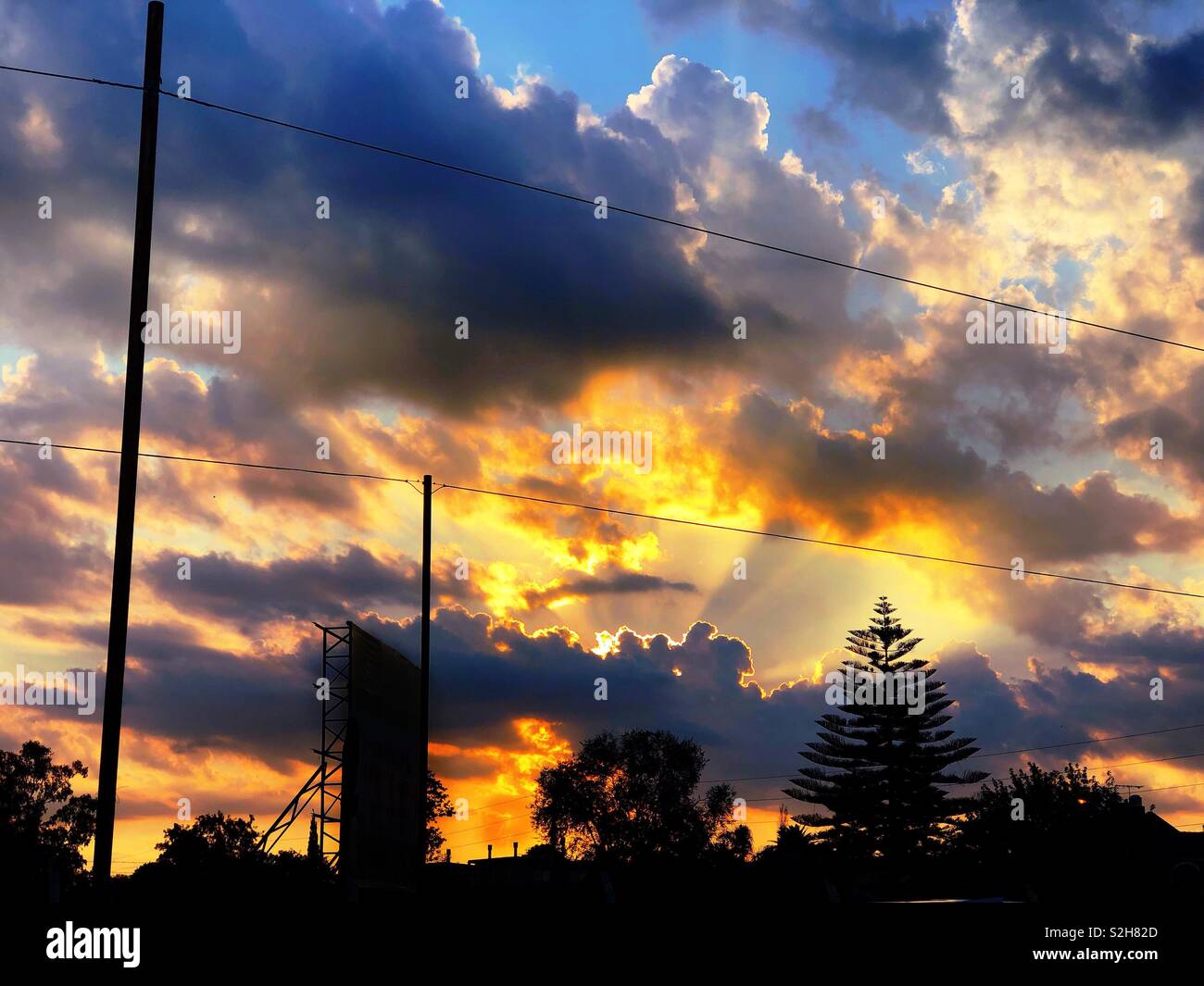 Summer dawn trees hi-res stock photography and images - Alamy