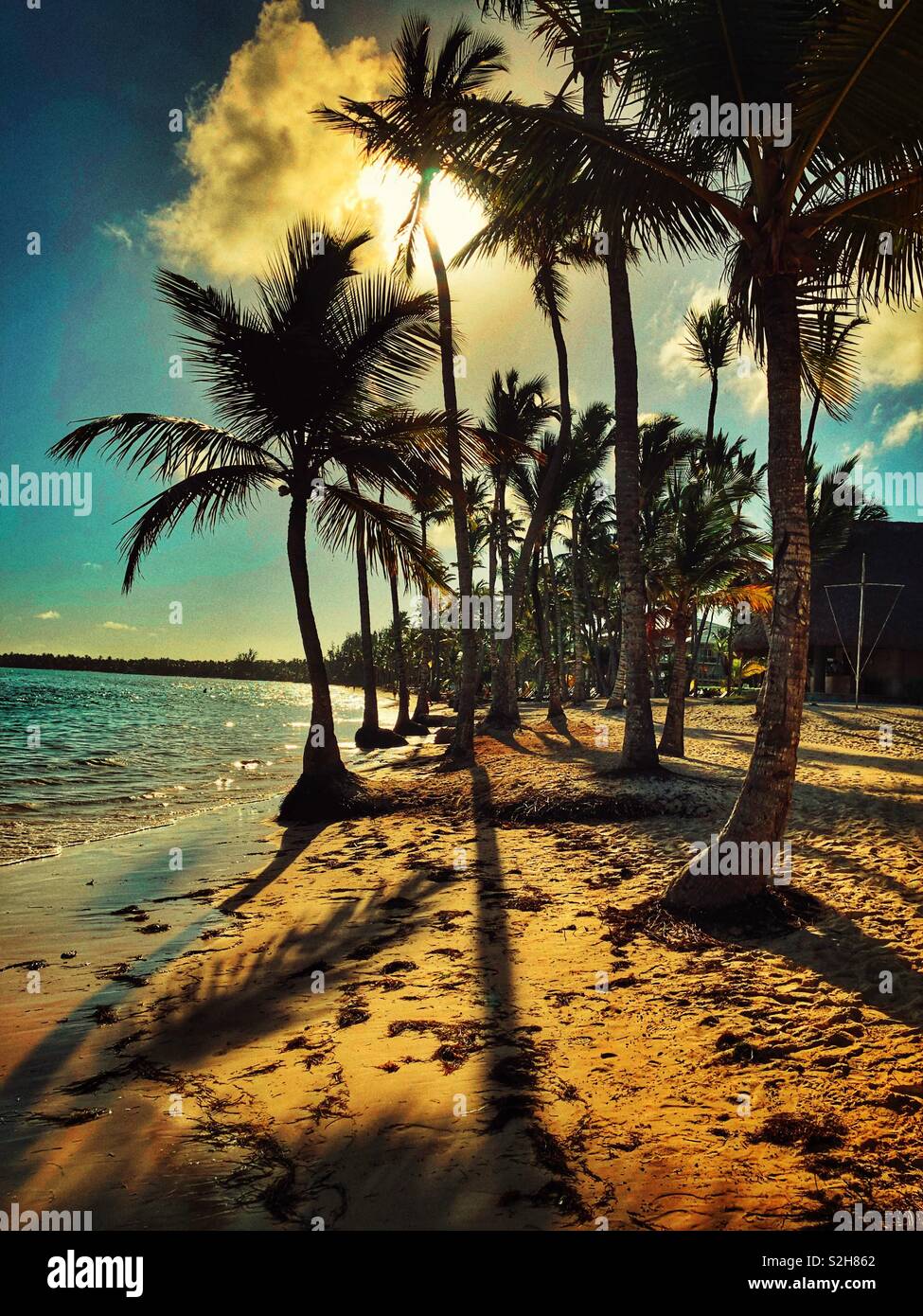 Pictures of ocean hi-res stock photography and images - Alamy