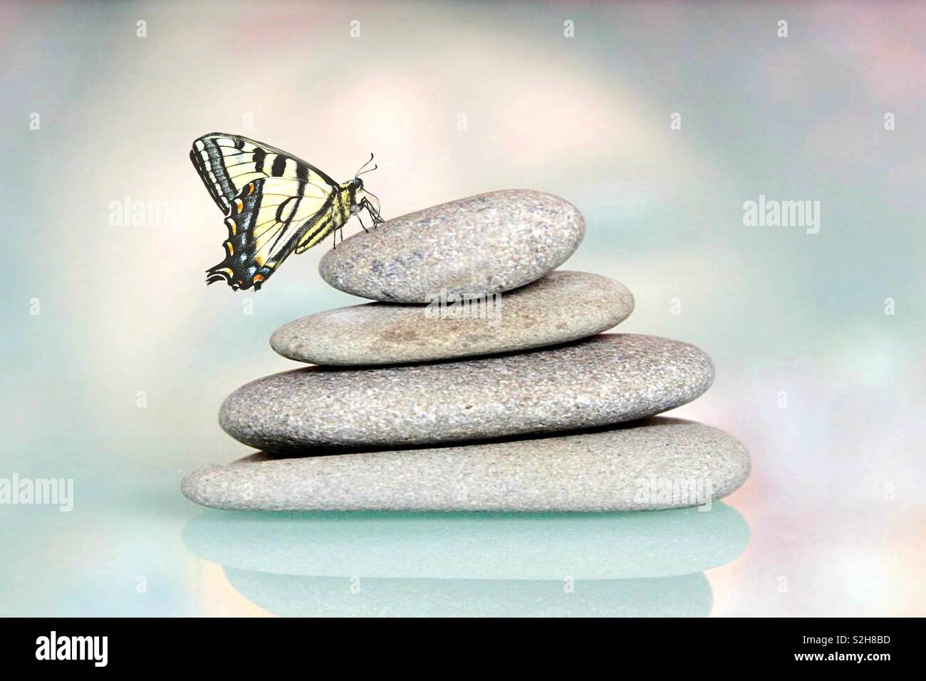 It’s all about the right balance Stock Photo - Alamy