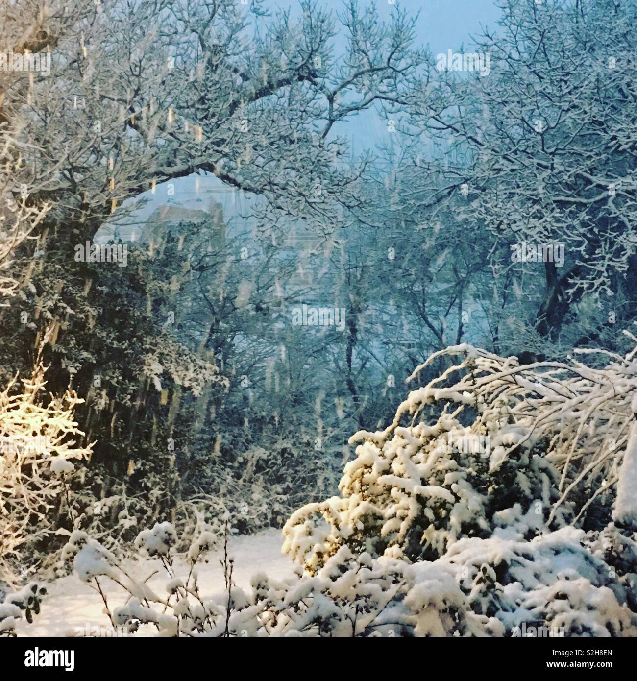 Slowly falling snow hi-res stock photography and images - Alamy