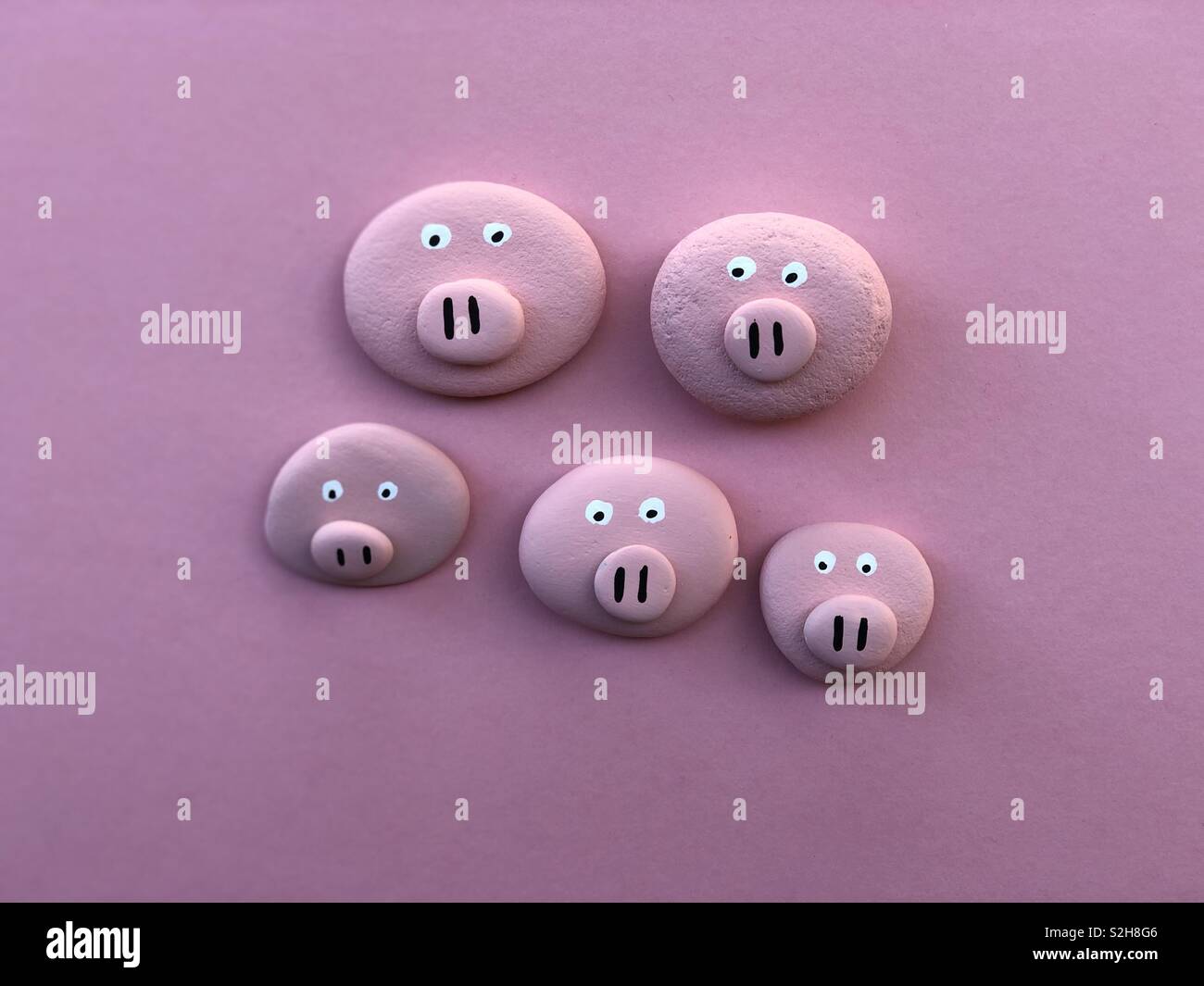Only pink pigs Stock Photo - Alamy