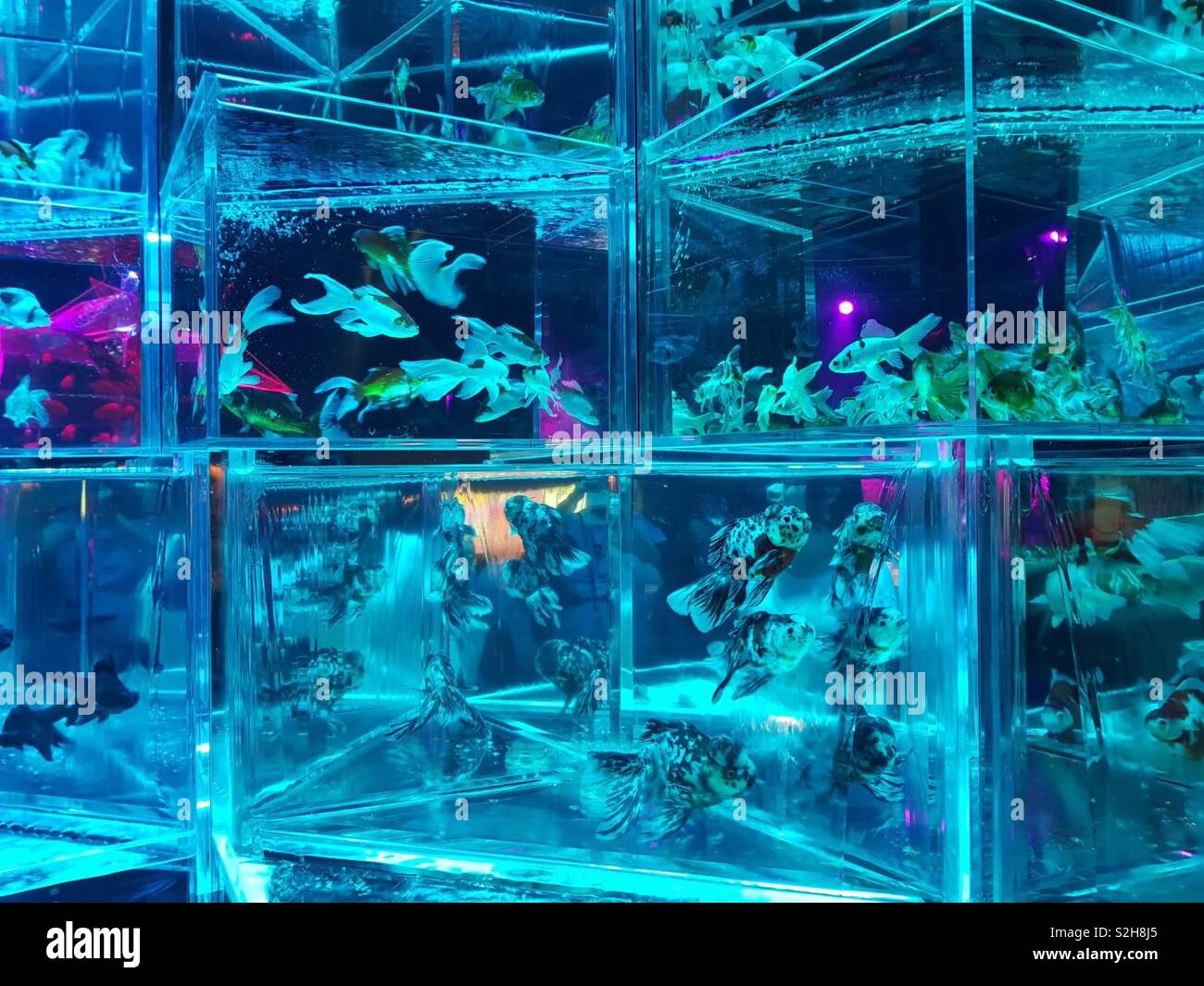 Tank art hi-res stock photography and images - Alamy