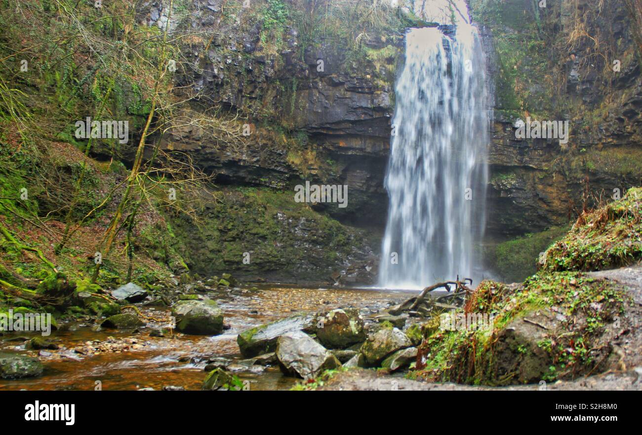 The bat cave Stock Photo - Alamy