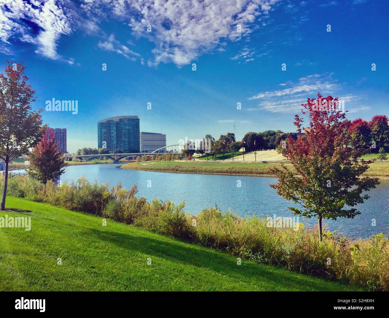 Columbus tree hi-res stock photography and images - Alamy