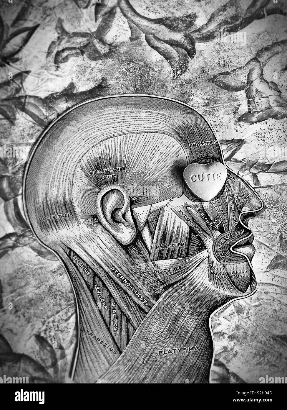 Surreal Black And White Art