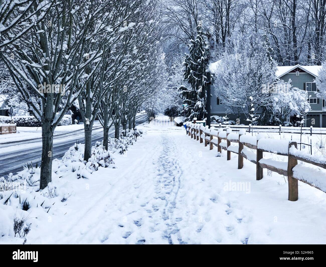 Suburban street in America after the snow storm Stock Photo - Alamy