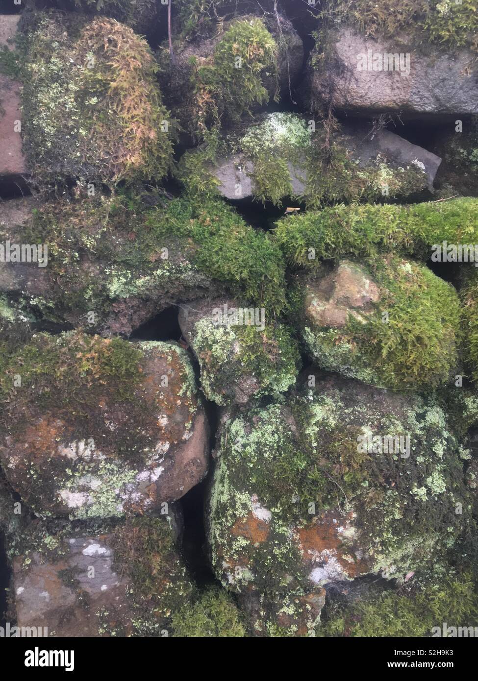Moss covered stone wall Stock Photo - Alamy