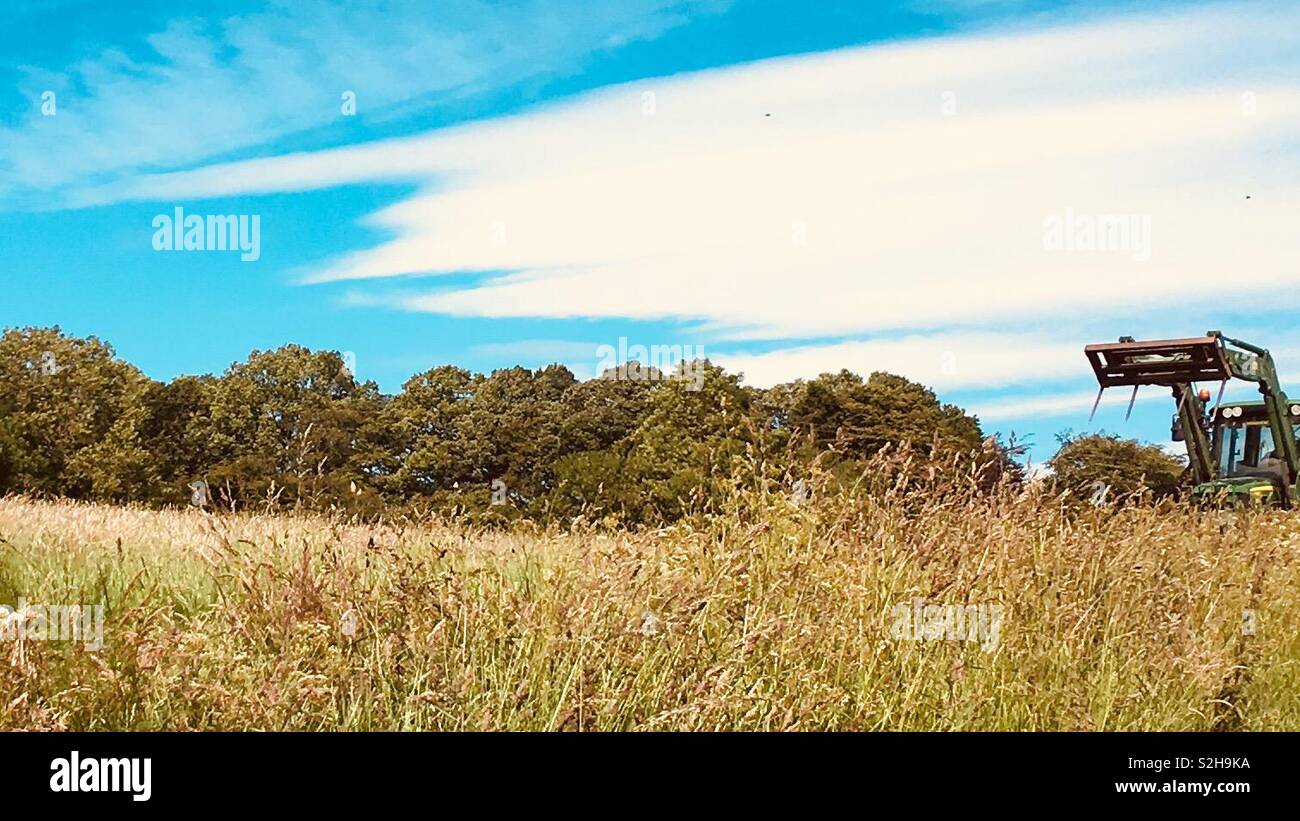 Farming in Scotland Stock Photo - Alamy
