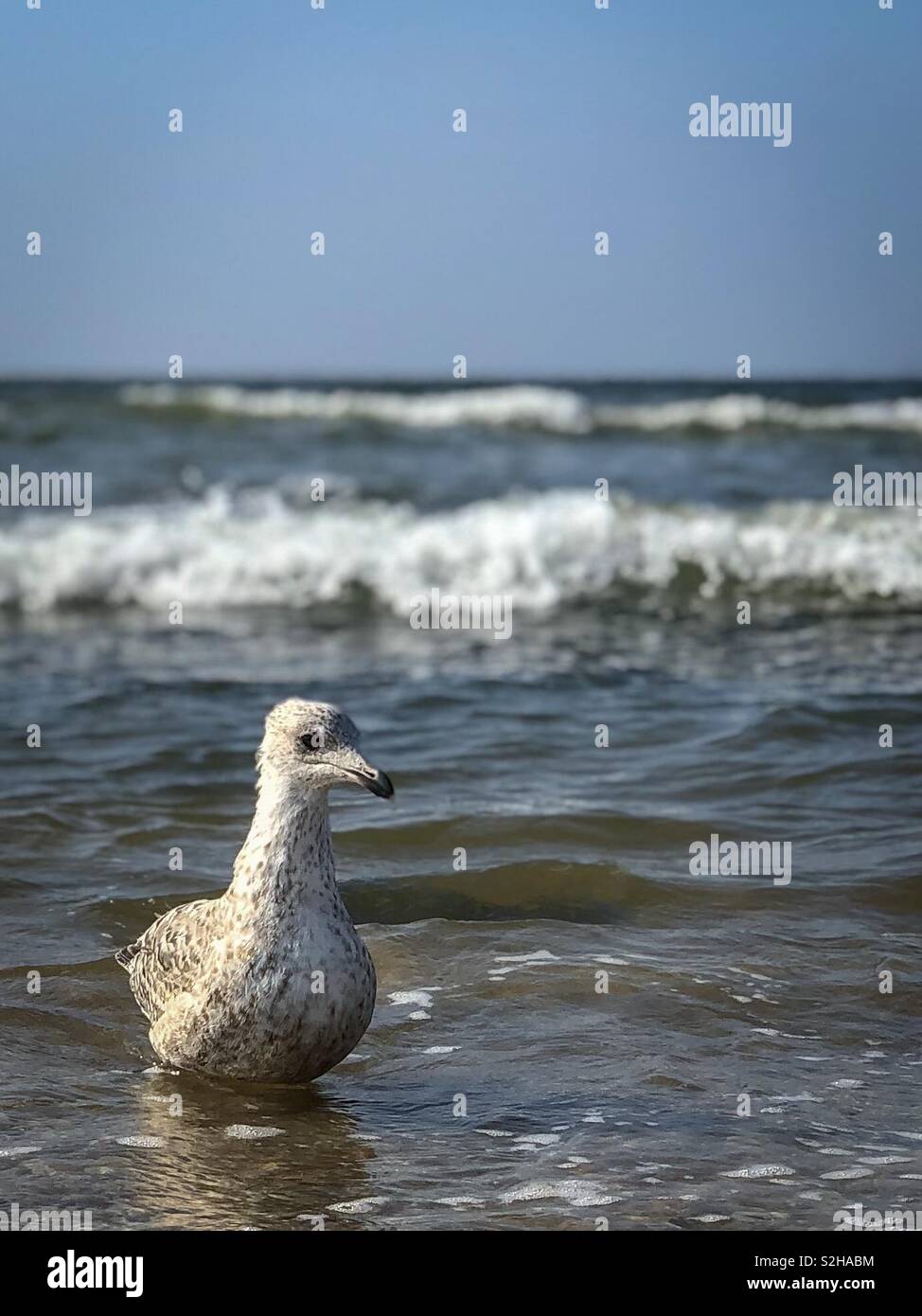 Grey sea hi-res stock photography and images - Alamy
