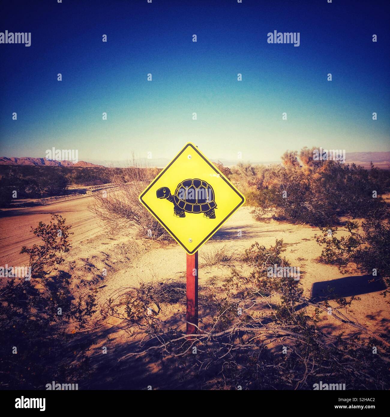 We don’t see this sign very often. Open eyes but no turtles this day ...