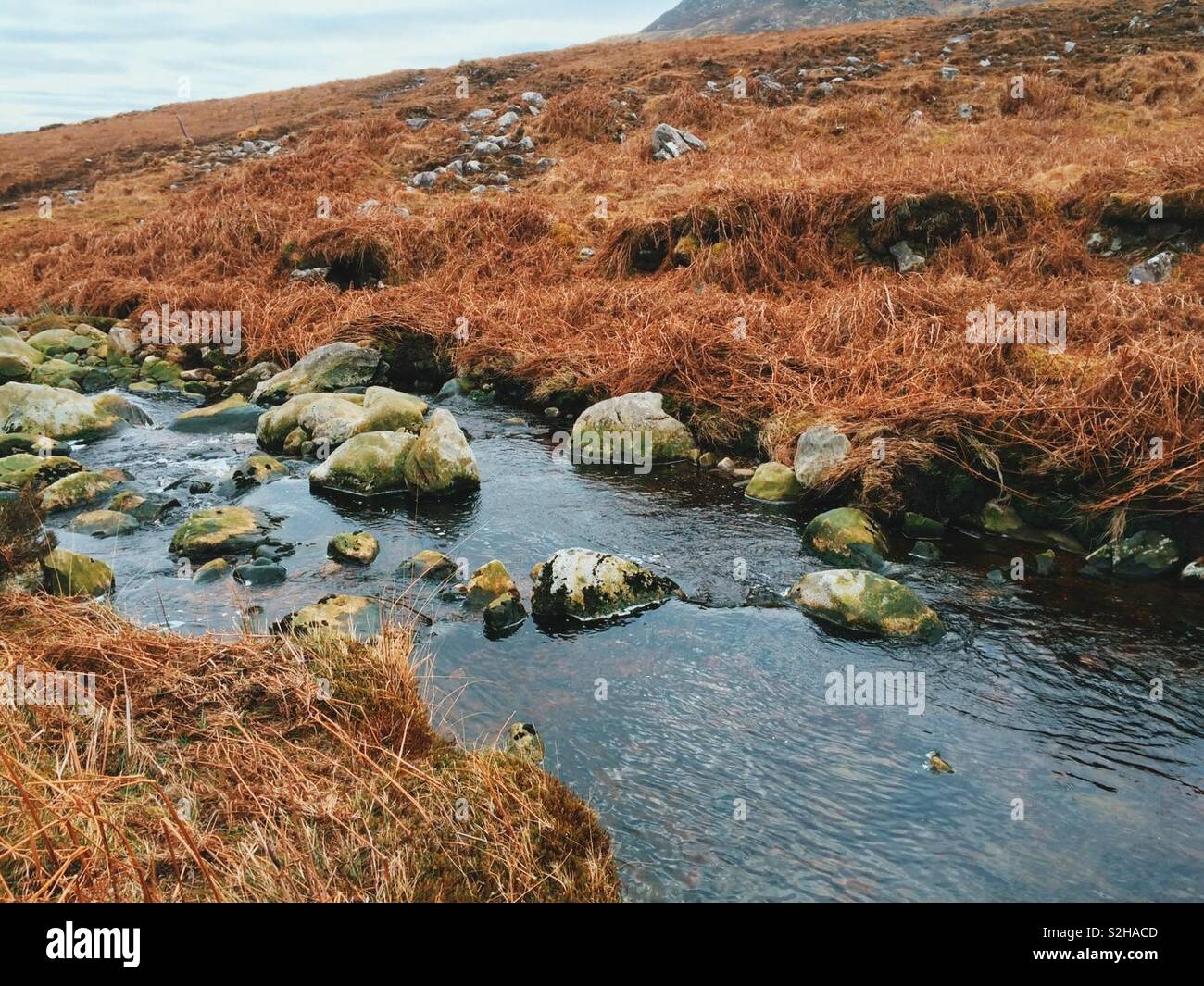 Elf land High Resolution Stock Photography and Images - Alamy