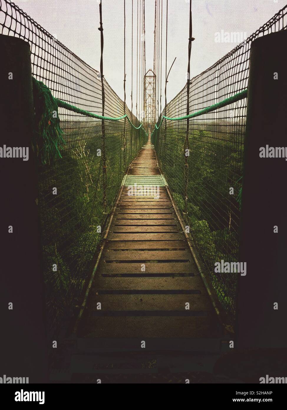 Rope bridge jungle hi-res stock photography and images - Alamy