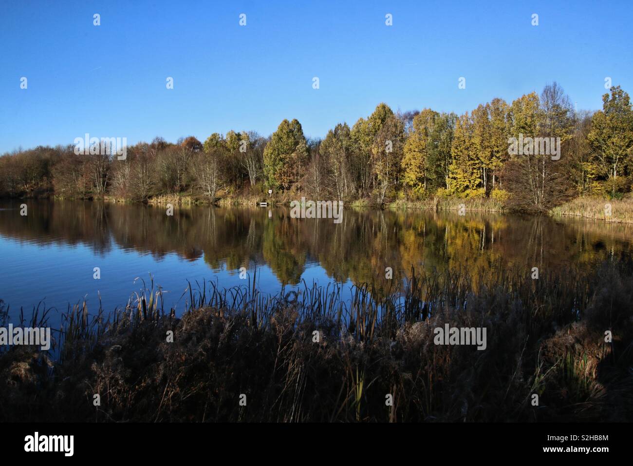 Alderford hi-res stock photography and images - Alamy