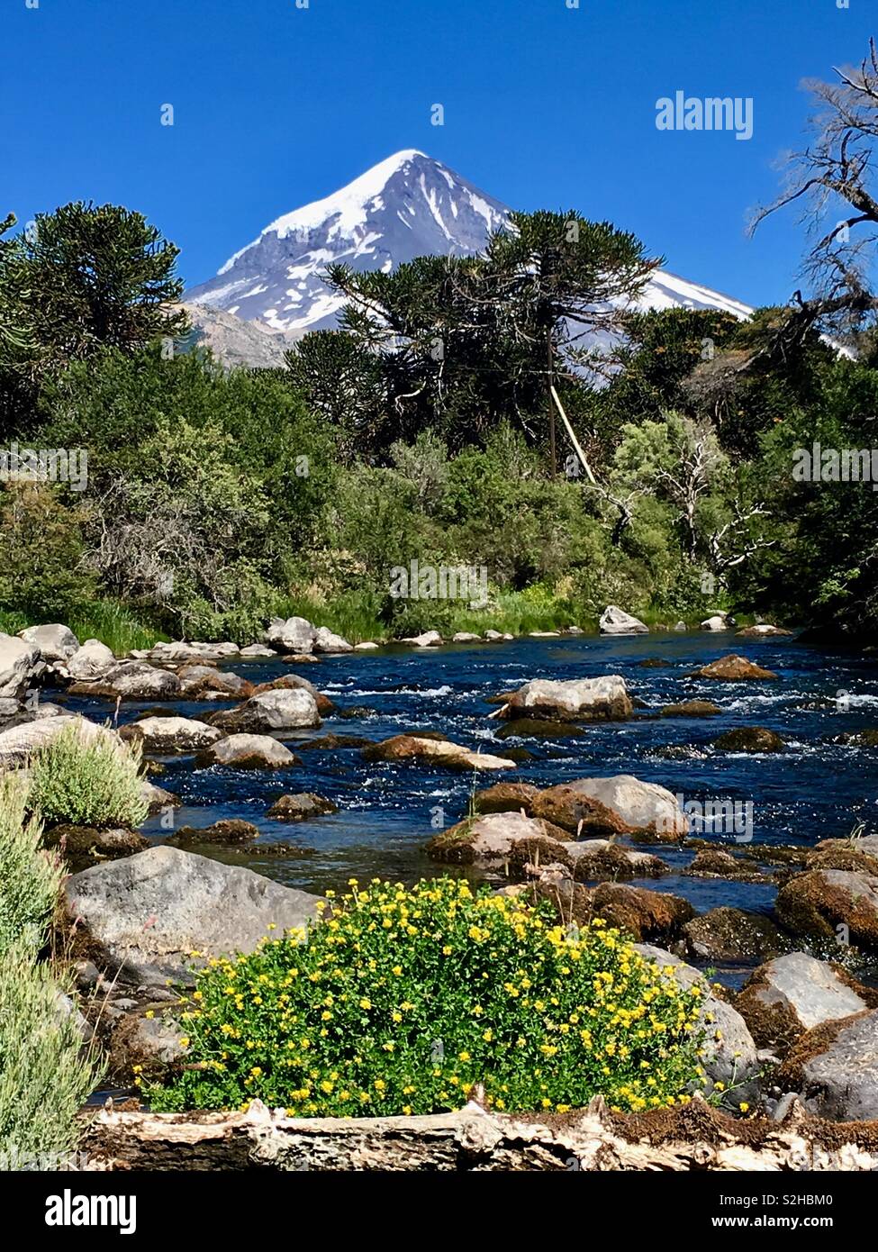 Lanin volcano in Lanin National Park, Patagonia, Argentina Stock Photo ...