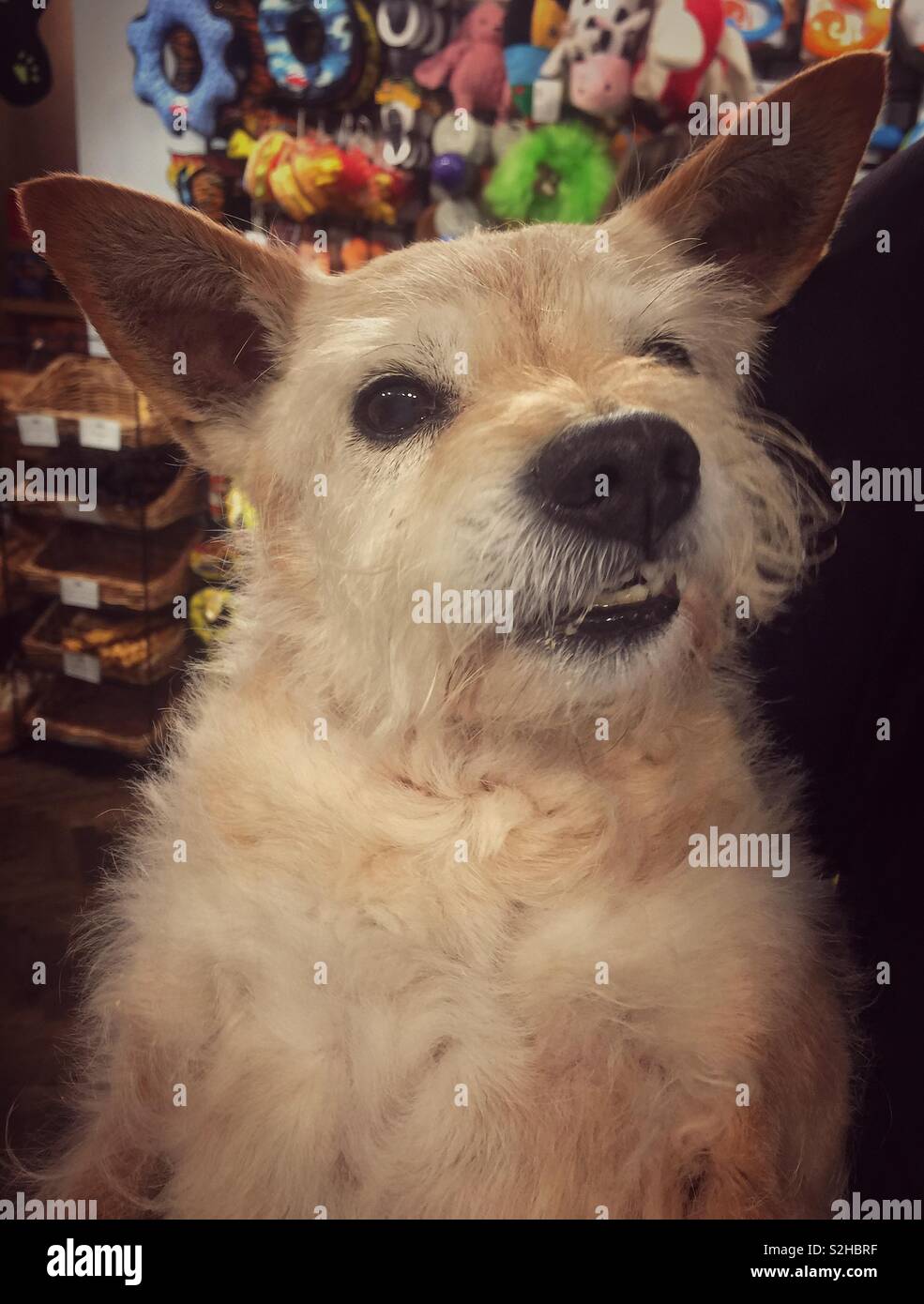 Making a face Stock Photo - Alamy