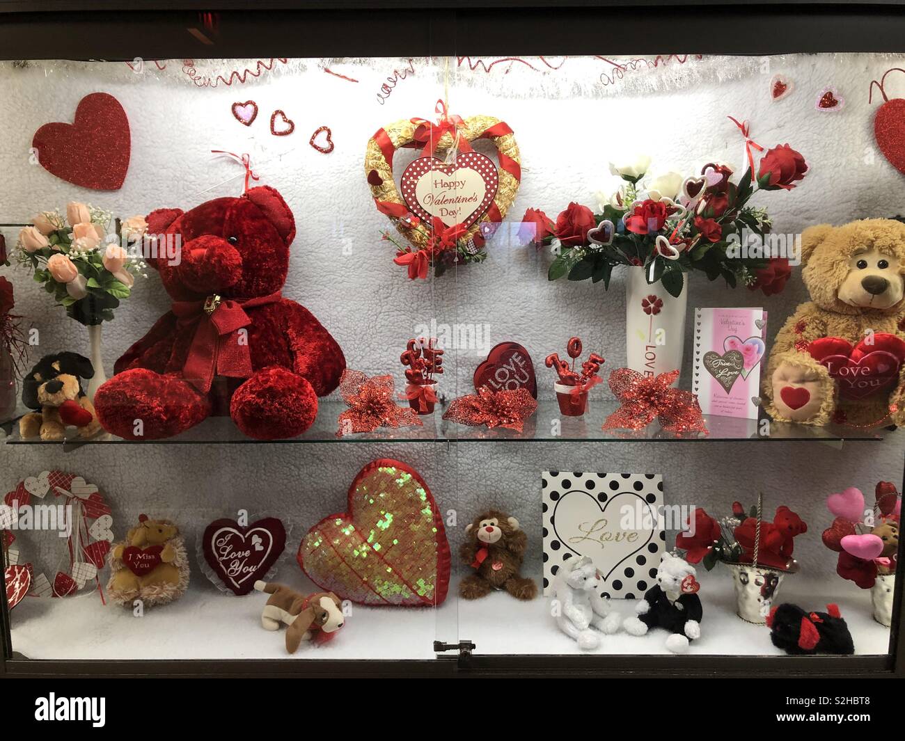 Teddy bears display hi-res stock photography and images - Alamy