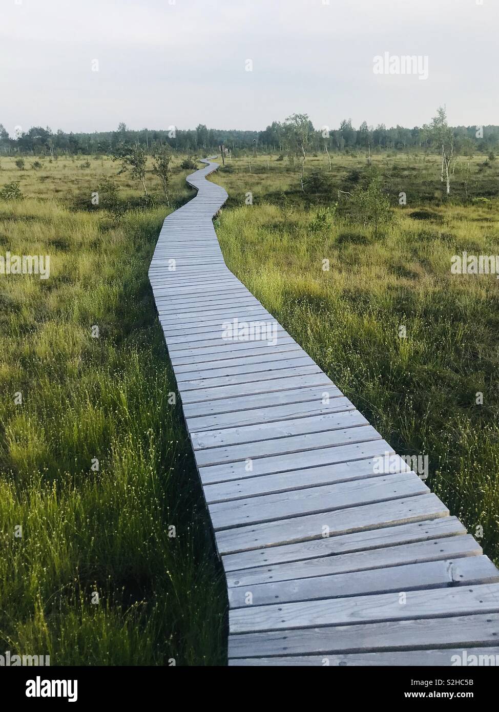 Trough bog hi-res stock photography and images - Alamy