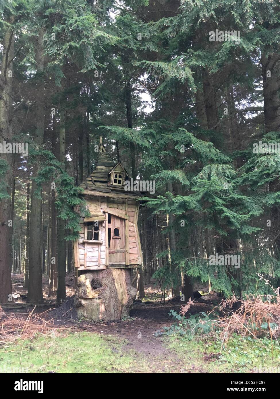 Forest tree house hi-res stock photography and images - Alamy