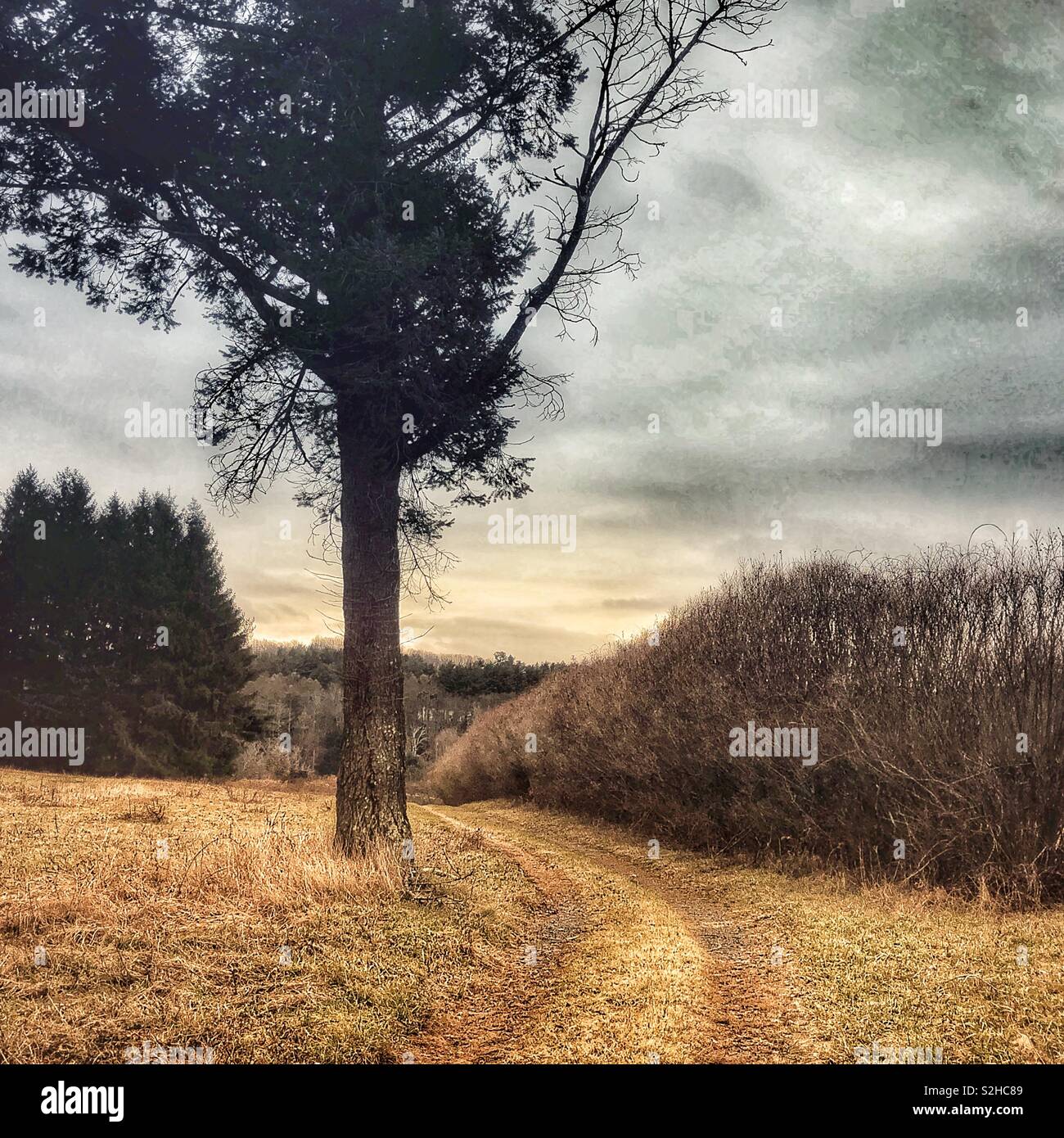 Merestead Park, Westchester County, New York USA Stock Photo - Alamy