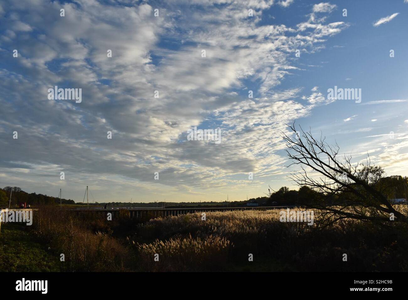 Woodbridge landscape hi-res stock photography and images - Alamy