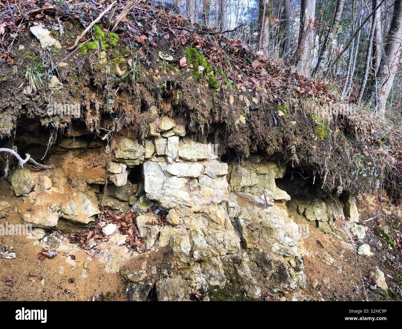 Soil and limestone hi-res stock photography and images - Alamy