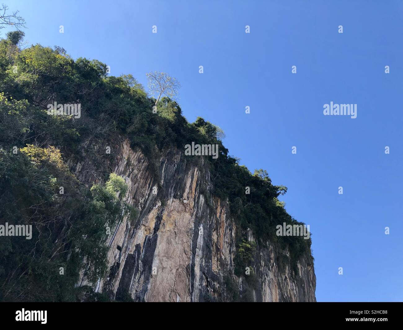 Trees growing on cliff top under clear blue sky at Pak Ou caves in Laos ...