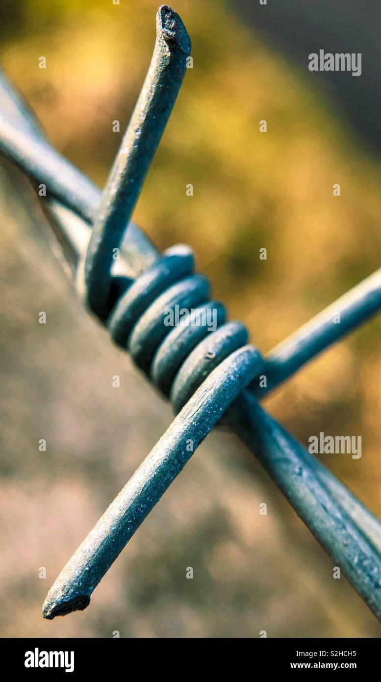 Barbed wire closeup Stock Photo - Alamy
