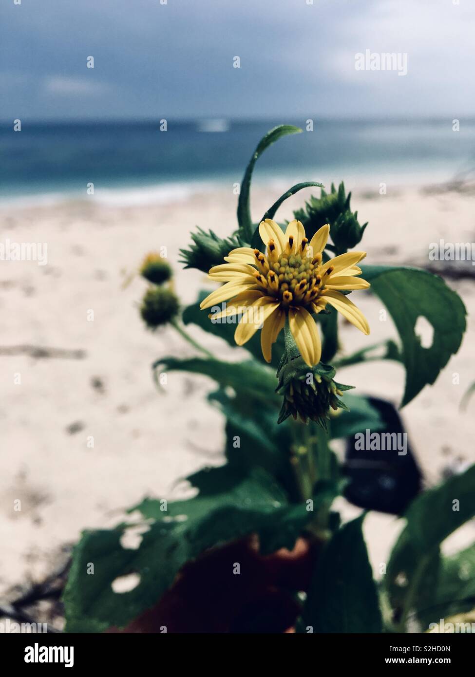 Cagayan Valley, Philippines Stock Photo - Alamy