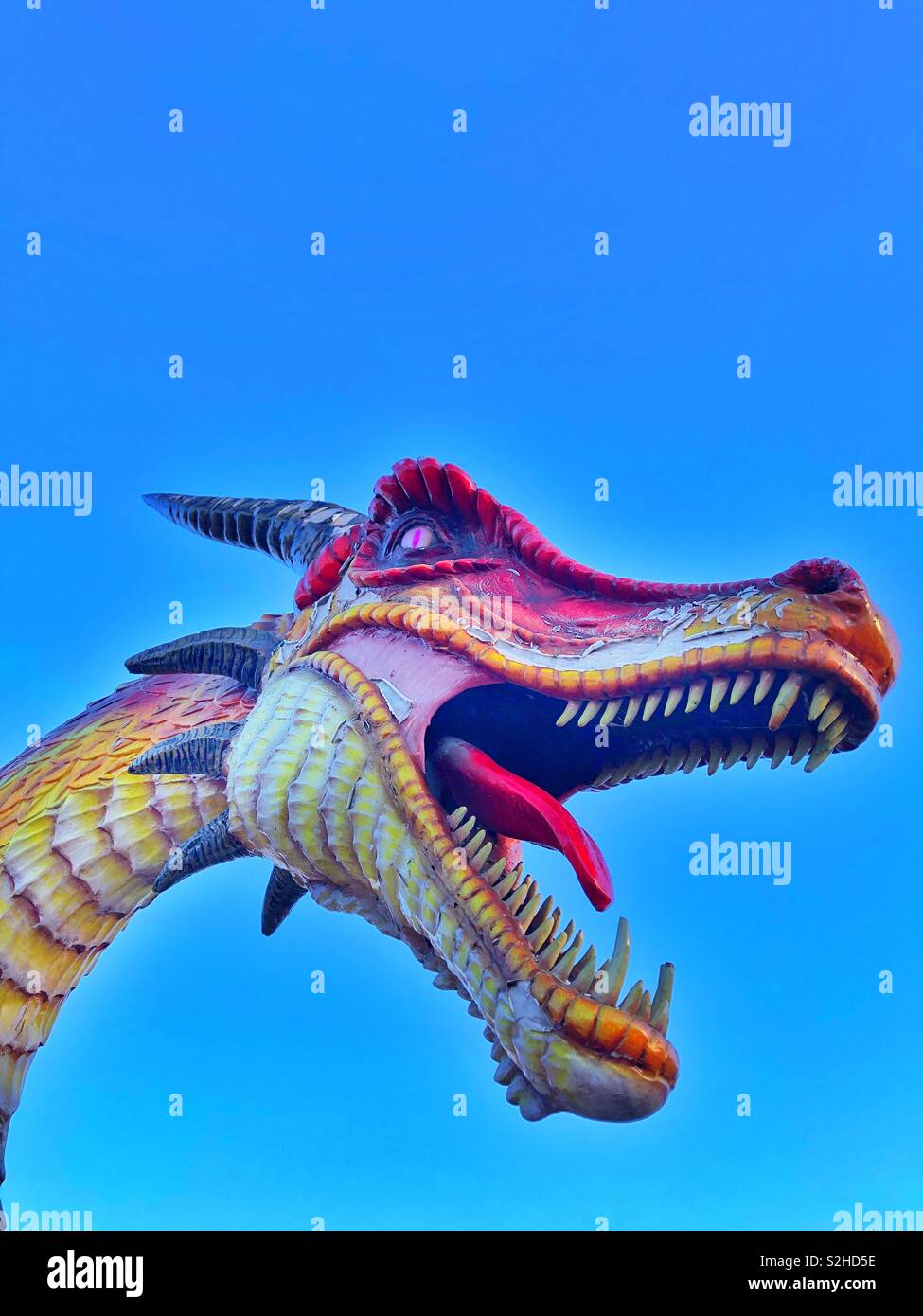 Dragons head hi-res stock photography and images - Alamy