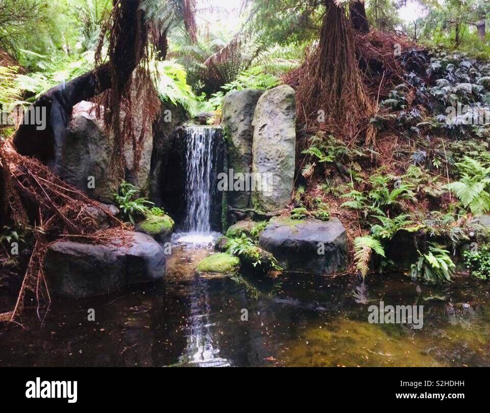 Forest gallery Melbourne museum / waterfall and forest Stock Photo - Alamy