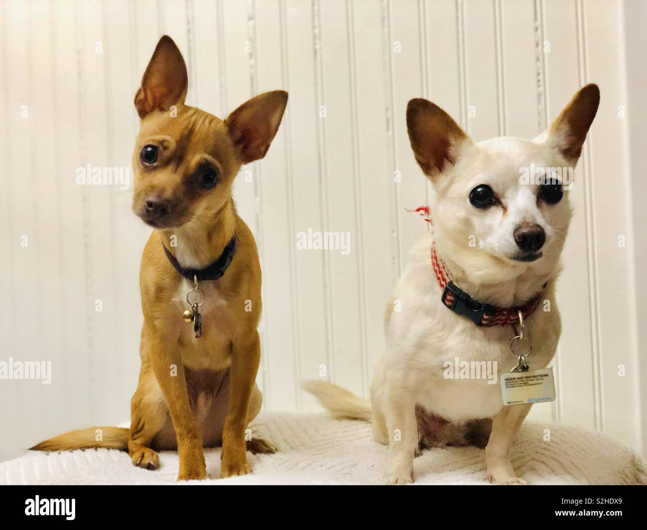 Hello everyone hi-res stock photography and images - Alamy