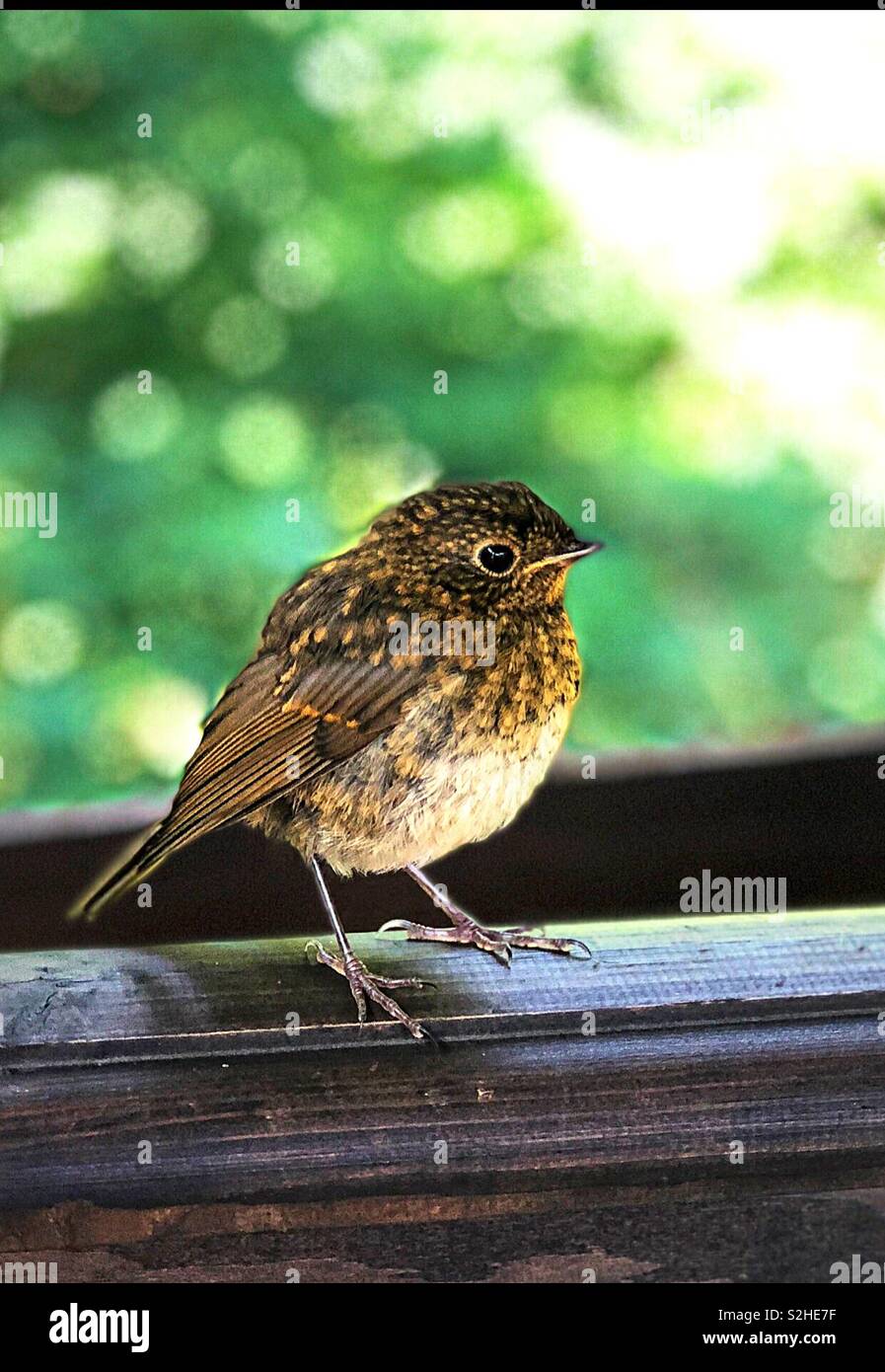 Nature at it’s best Stock Photo - Alamy