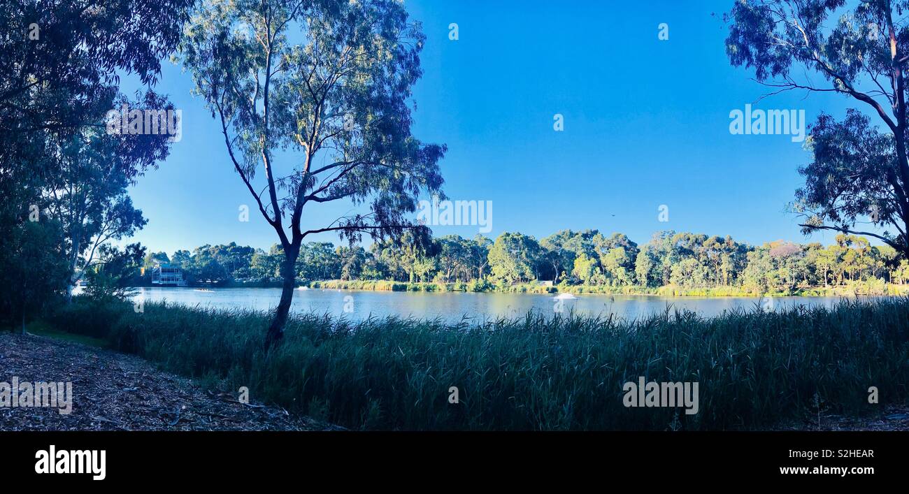 Summer in Adelaide Stock Photo - Alamy