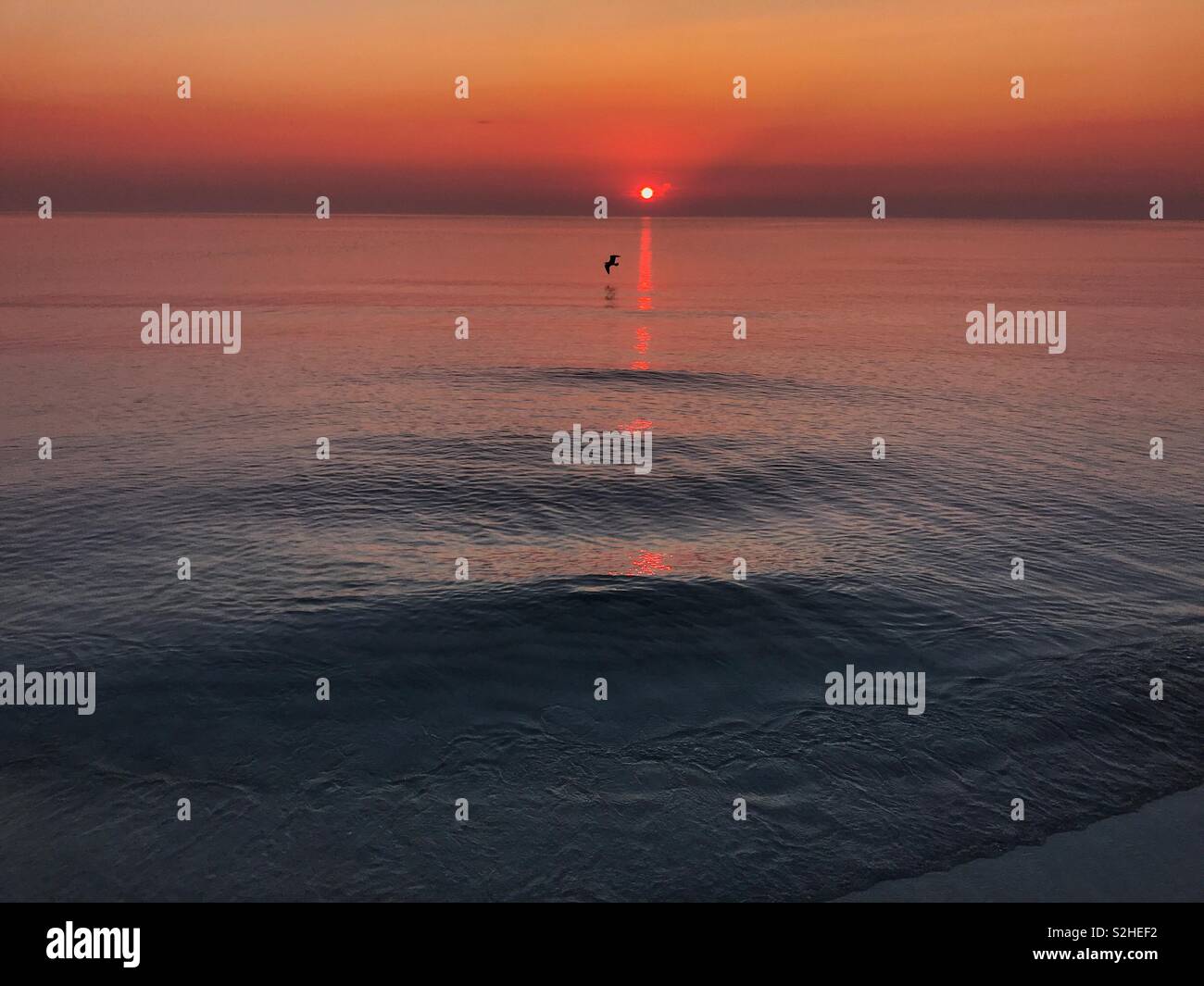 Sunrise over sea Stock Photo - Alamy