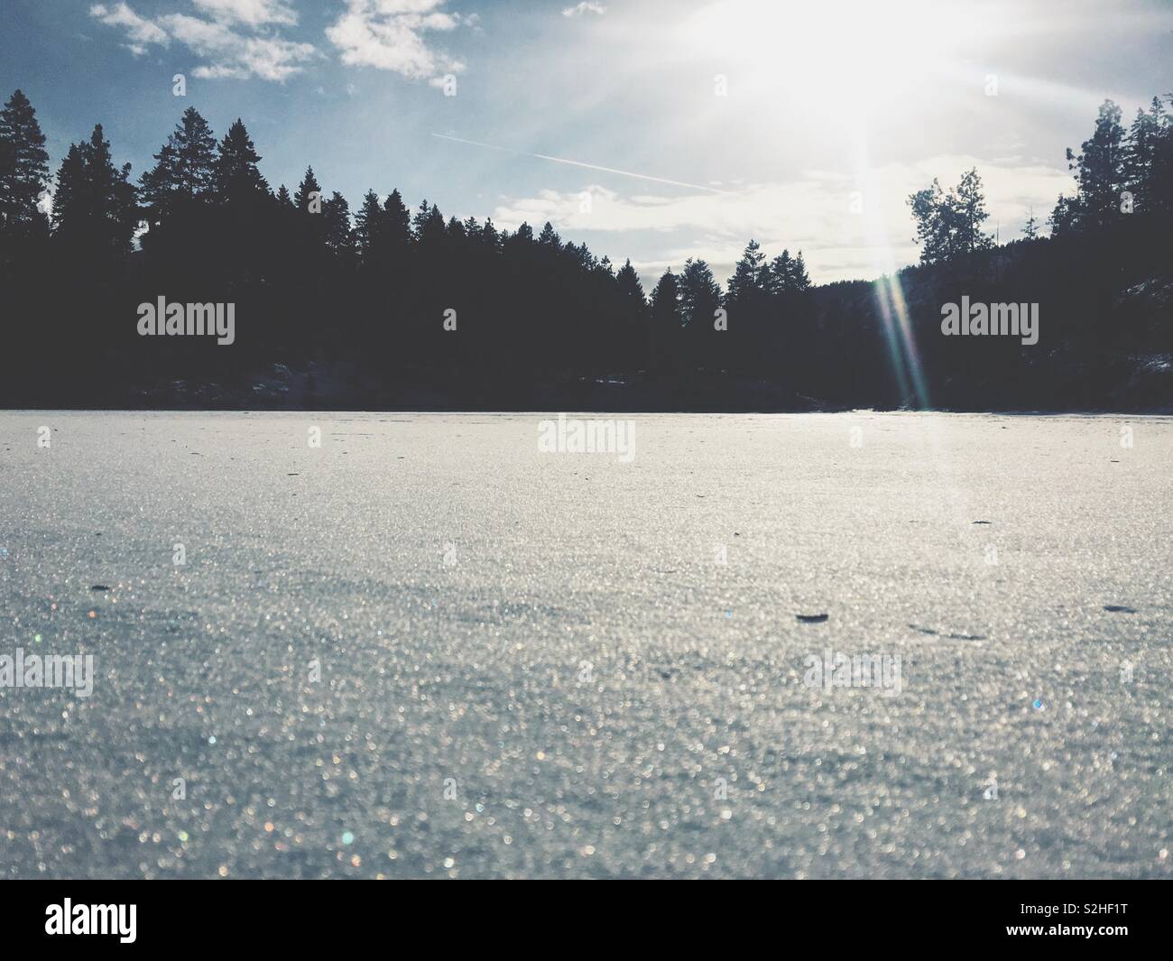 Winter Landscape Of Silhouette Of Evergreen Forest With Sun Rays