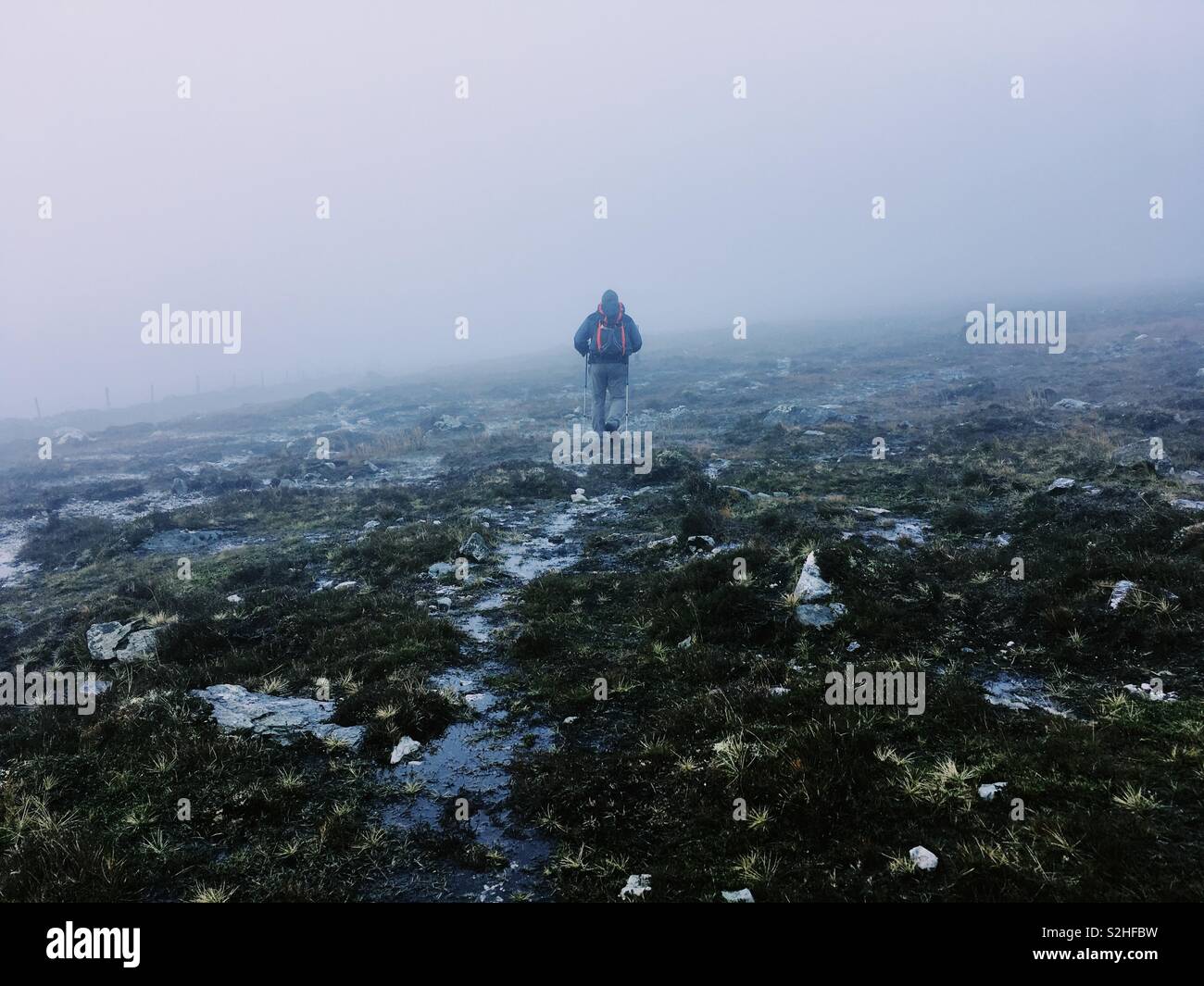 Bogland hi-res stock photography and images - Alamy