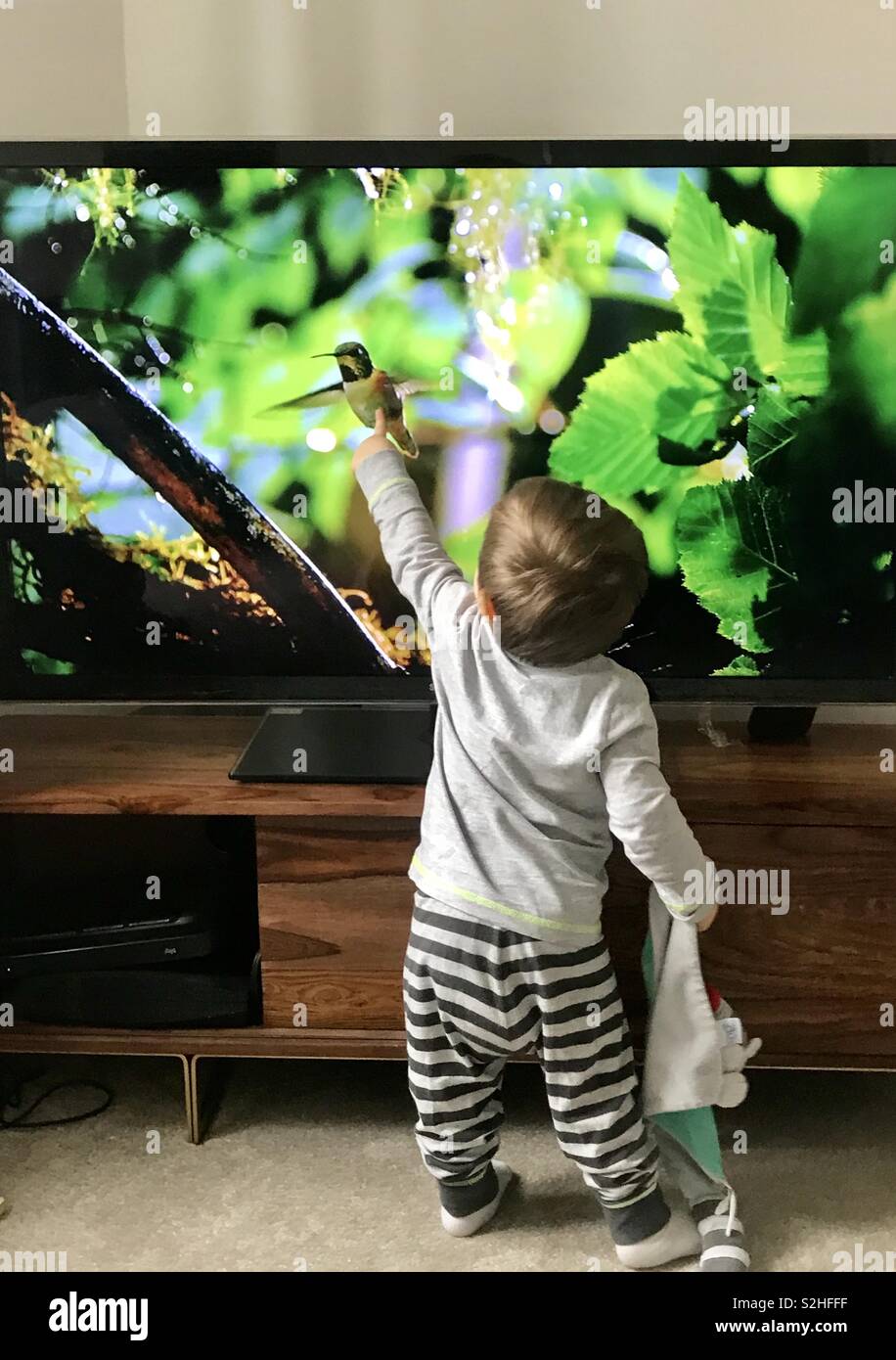 Pointing to bird hi-res stock photography and images - Alamy