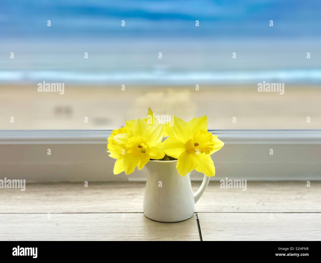 Yellow beach flowers hi-res stock photography and images - Alamy