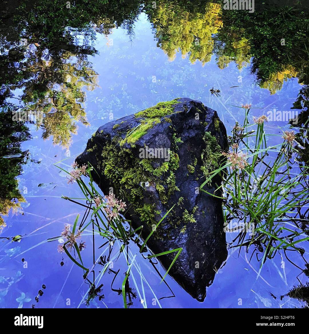 Reflection and rock Stock Photo - Alamy