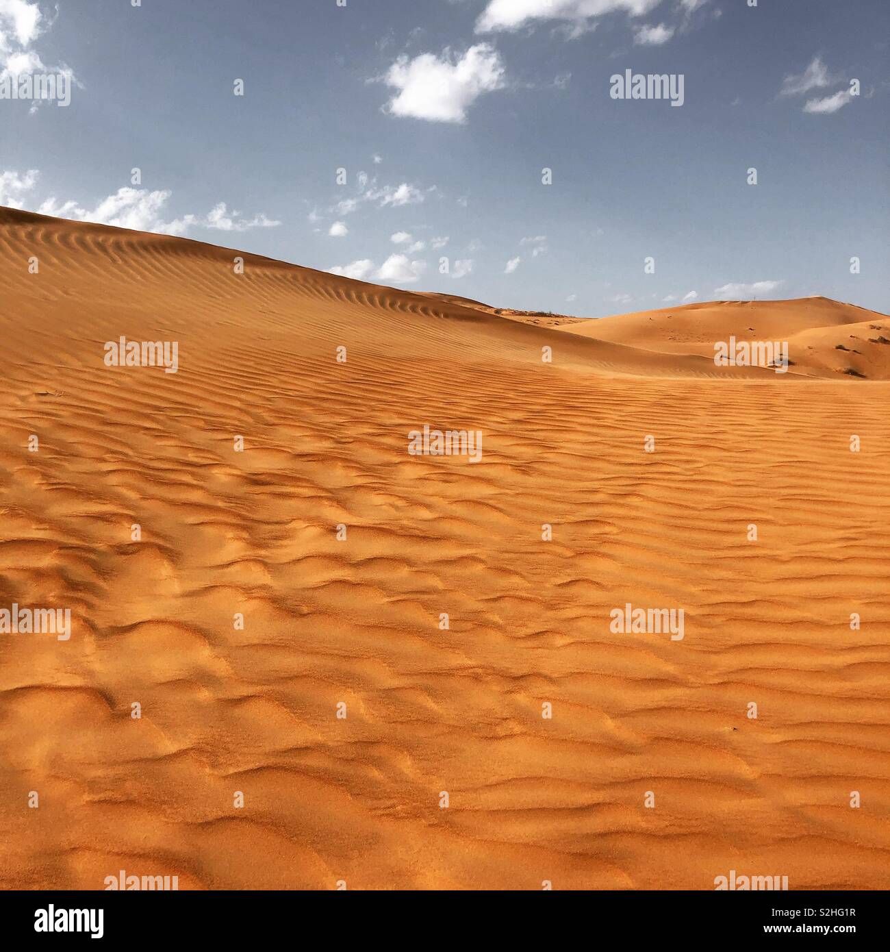 The Golden Desert Stock Photo - Alamy