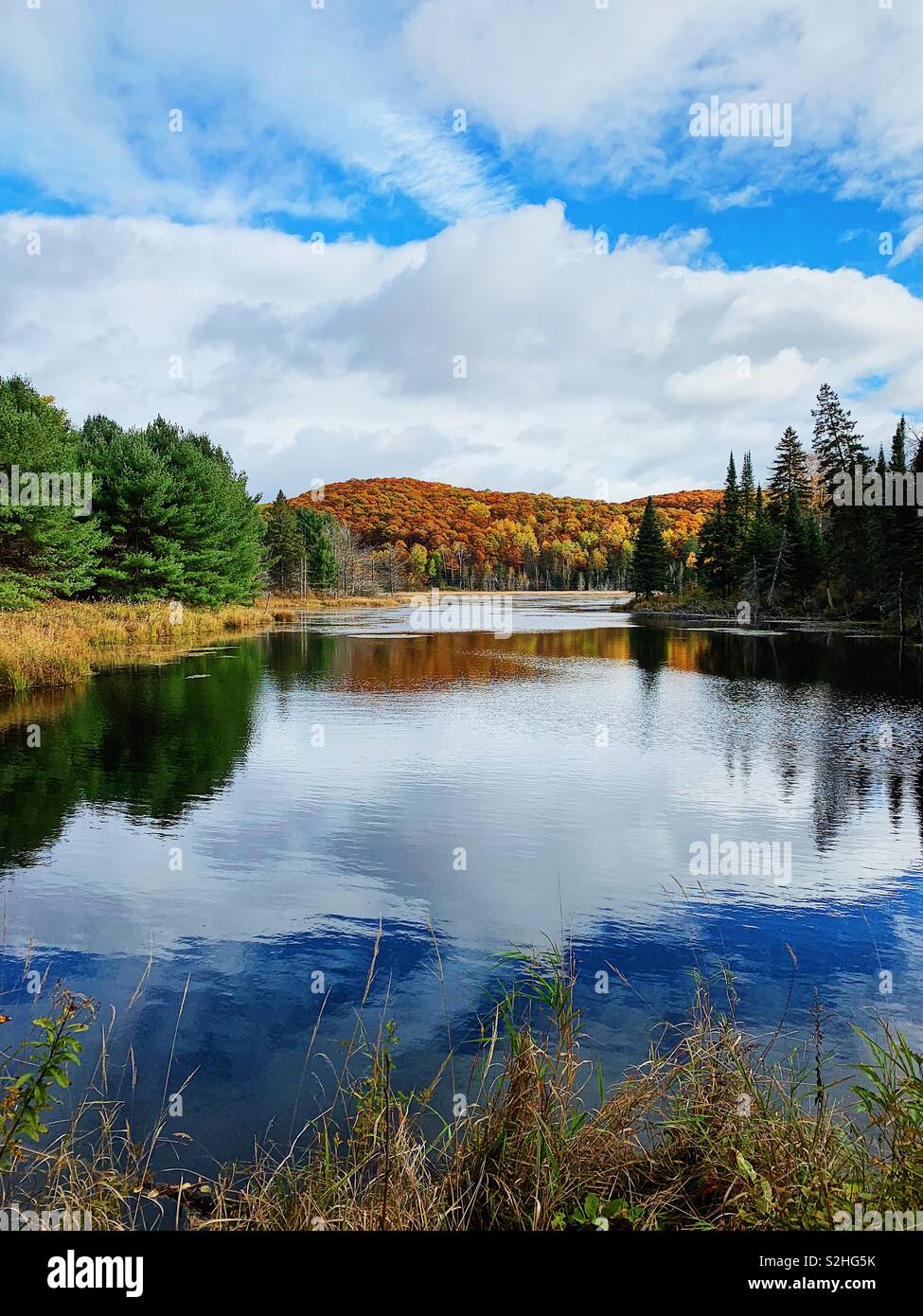 Northern ontario hi-res stock photography and images - Alamy