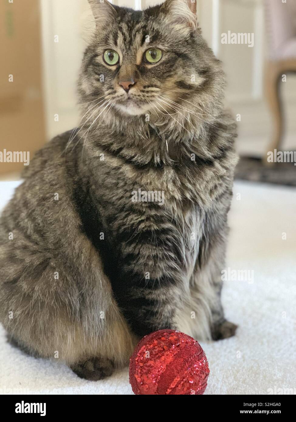 Mancoon hi-res stock photography and images - Alamy