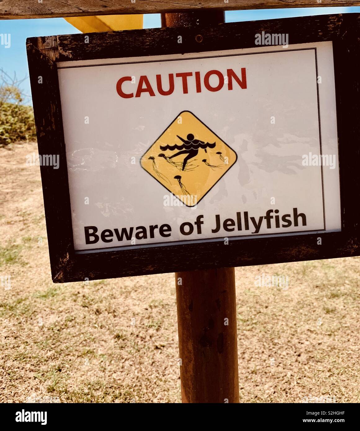 Jellyfish warning hi-res stock photography and images - Alamy