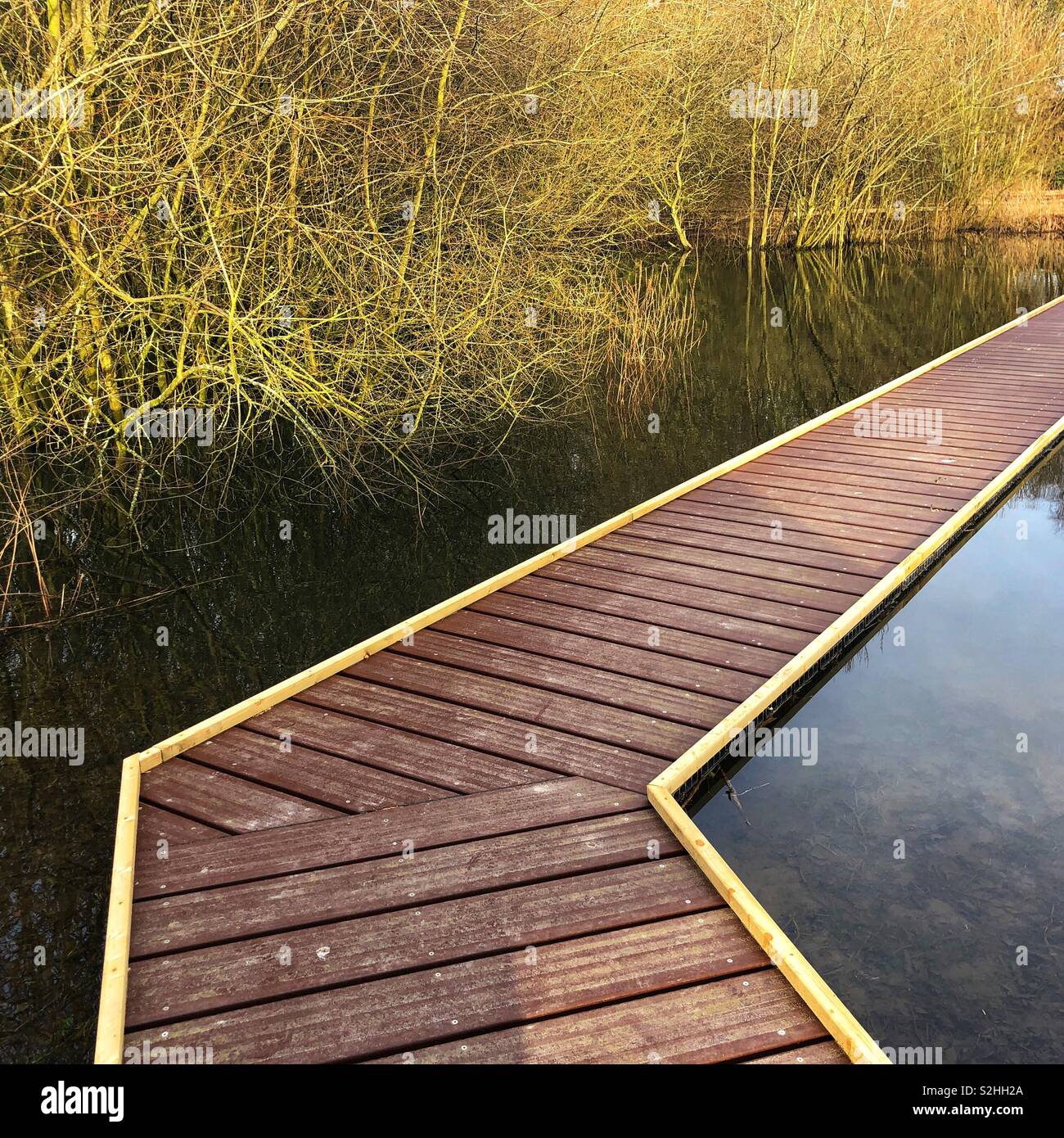 Pond boardwalk hi-res stock photography and images - Alamy