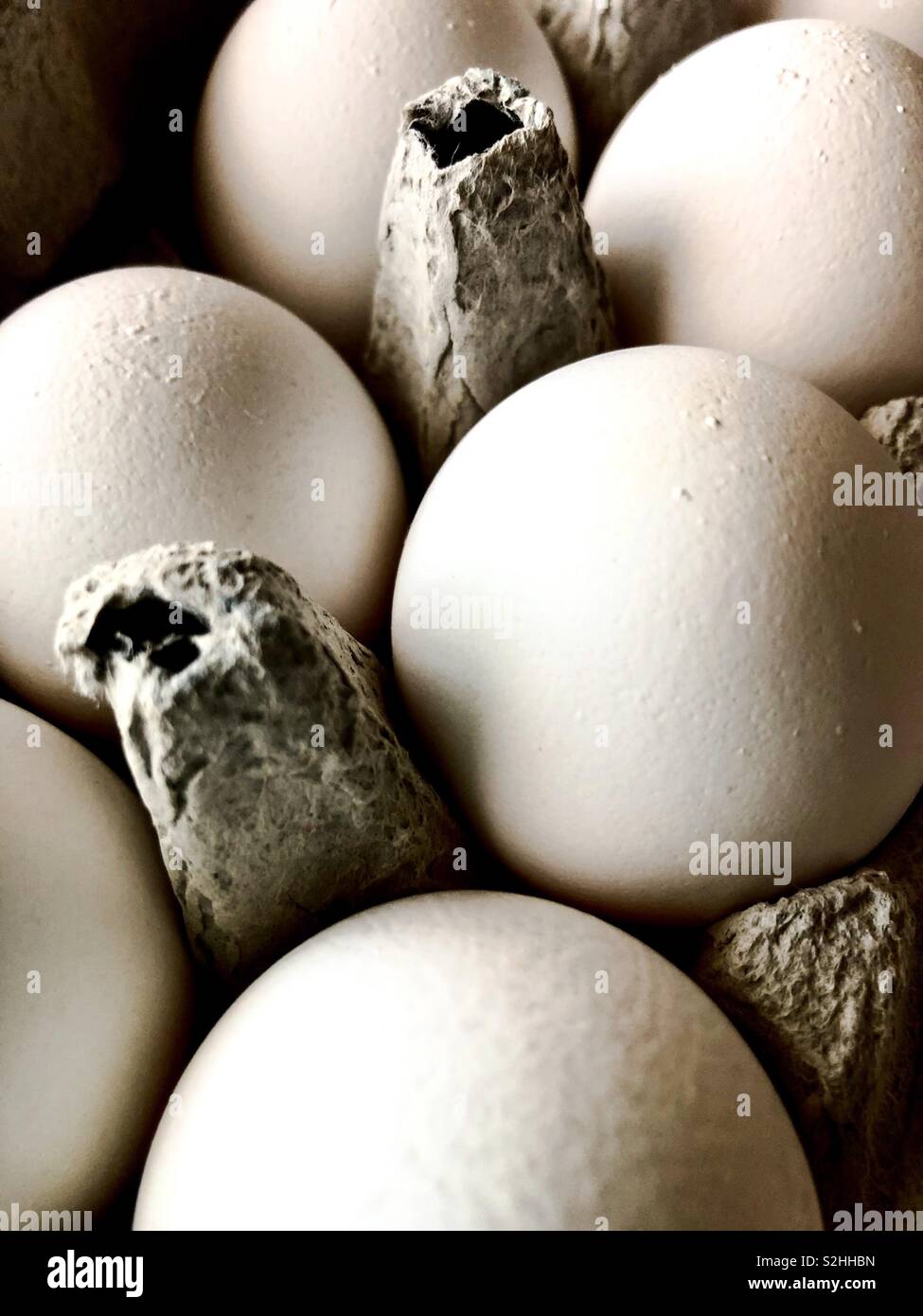 Egg carton close up hi-res stock photography and images - Alamy