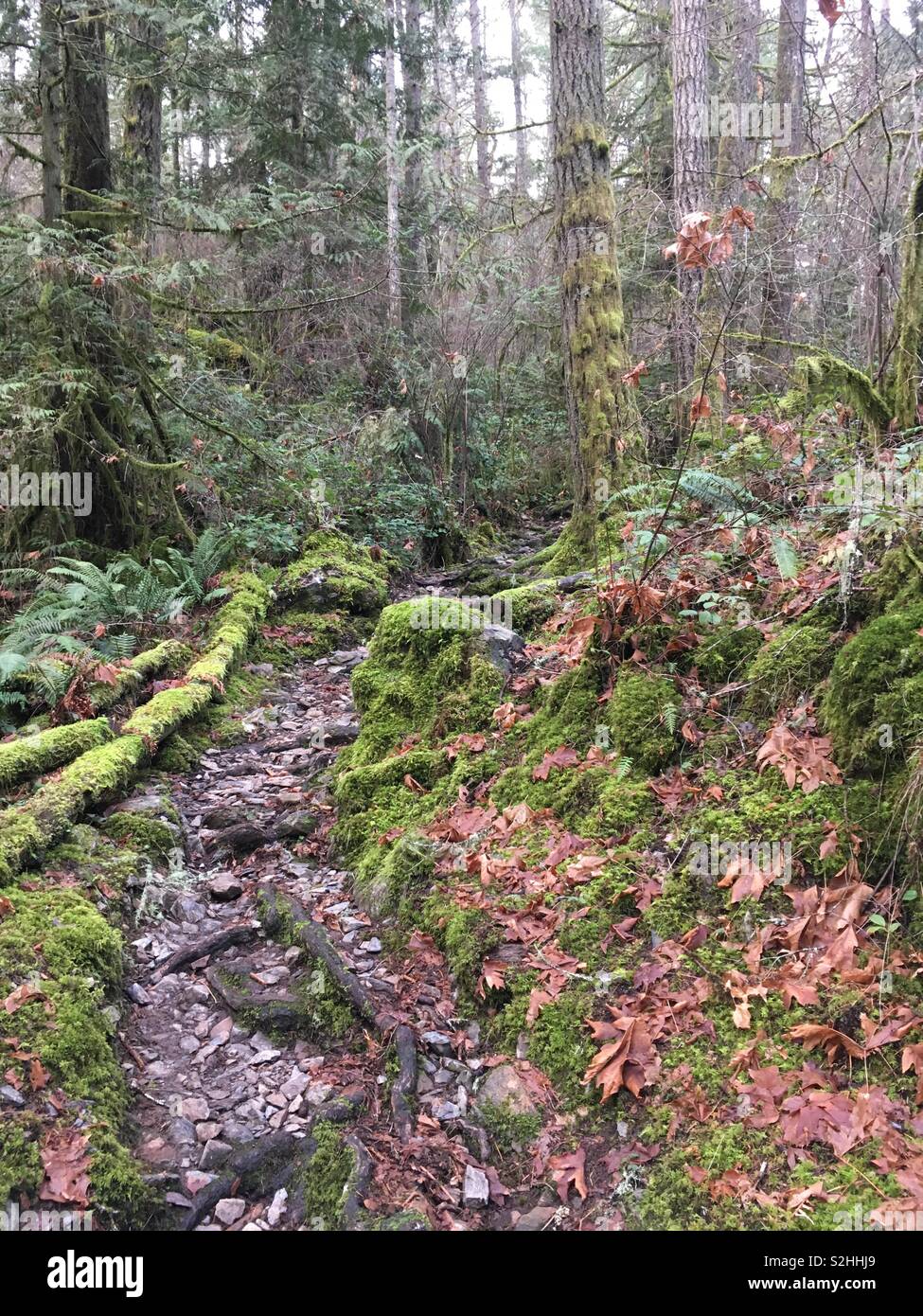 Nice stroll in the trail Stock Photo - Alamy