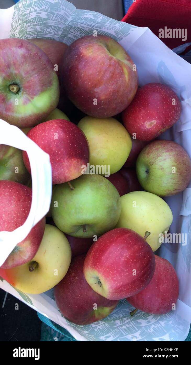 Bushel of Apples Stock Photo - Alamy