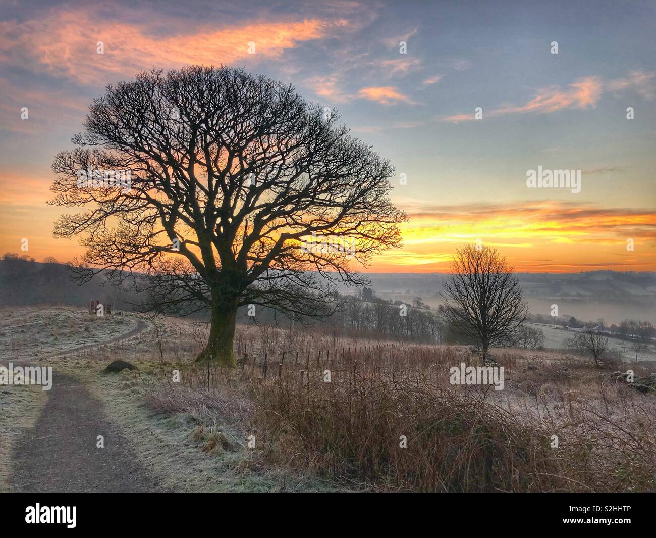 Sunrise over a hill with tree Stock Photo - Alamy
